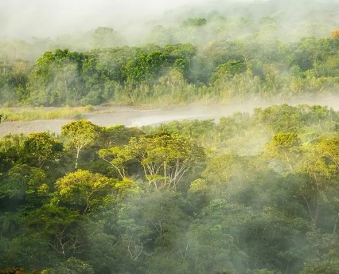 Exoticca – Amazon & Island Hopping in Galapagos - Maritime Travel