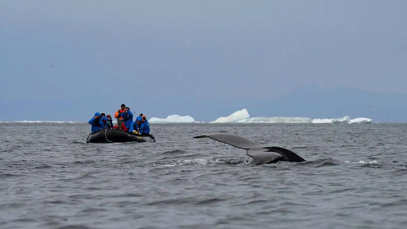 Adventure Canada – Into the Northwest Passage - Maritime Travel