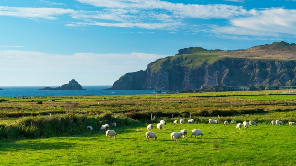 ACV – Ireland the Classic Tour – 2025 - Maritime Travel
