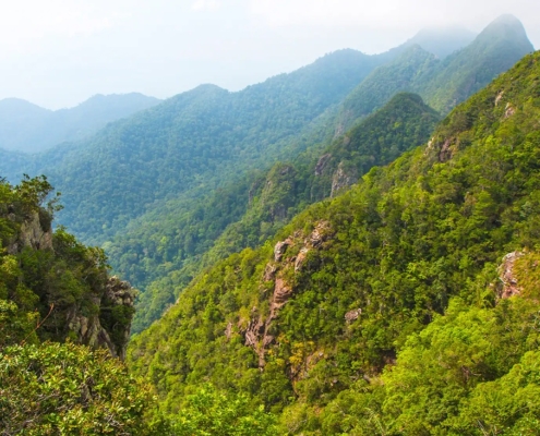 HAL – Far East Discovery - Maritime Travel